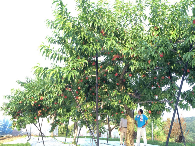 Editor's Eyes 農家を「あこがれ」の存在にする?! 一体どうやって？学校の挑戦が始まった!